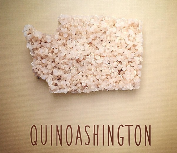 Adorable US States Puns - Blog LEC Séjours linguistiques